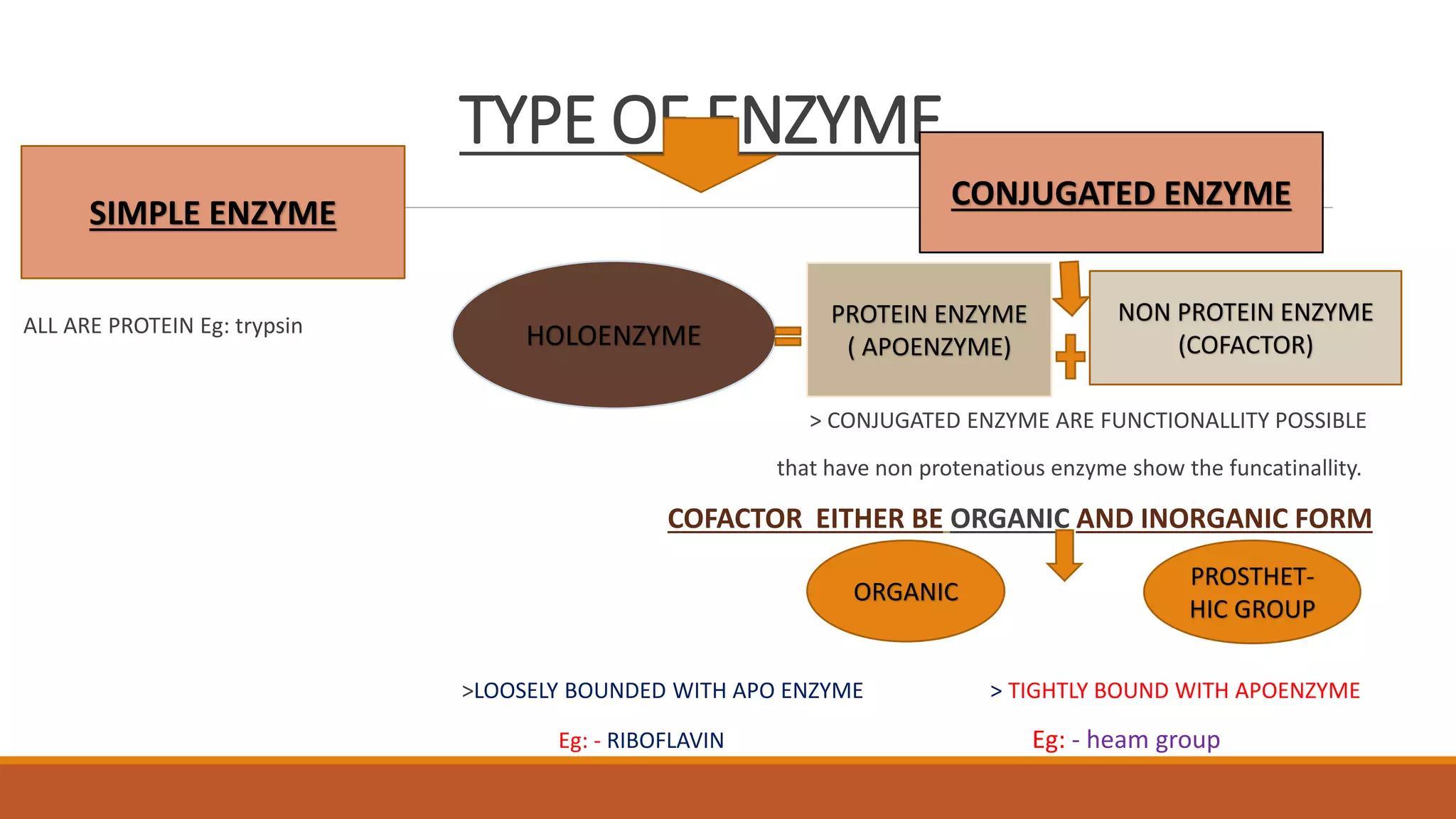 BIOMOLECULE PRESENTATION BY MUSKAN.pptx