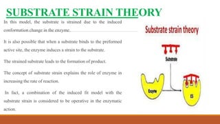 BIOMOLECULE PRESENTATION BY MUSKAN.pptx