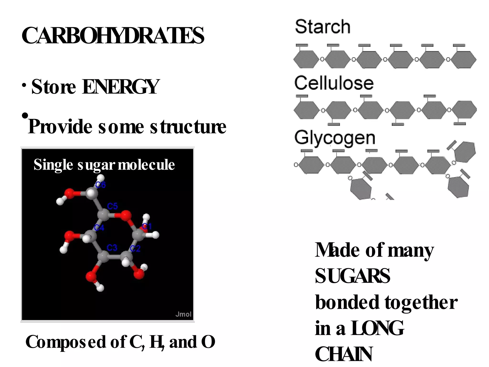 Biomolecules | PPT
