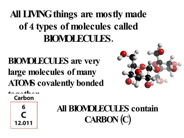 Biomolecules | PPT