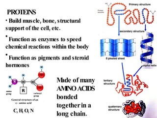 Biomolecules | PPT