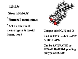 Biomolecules | PPT