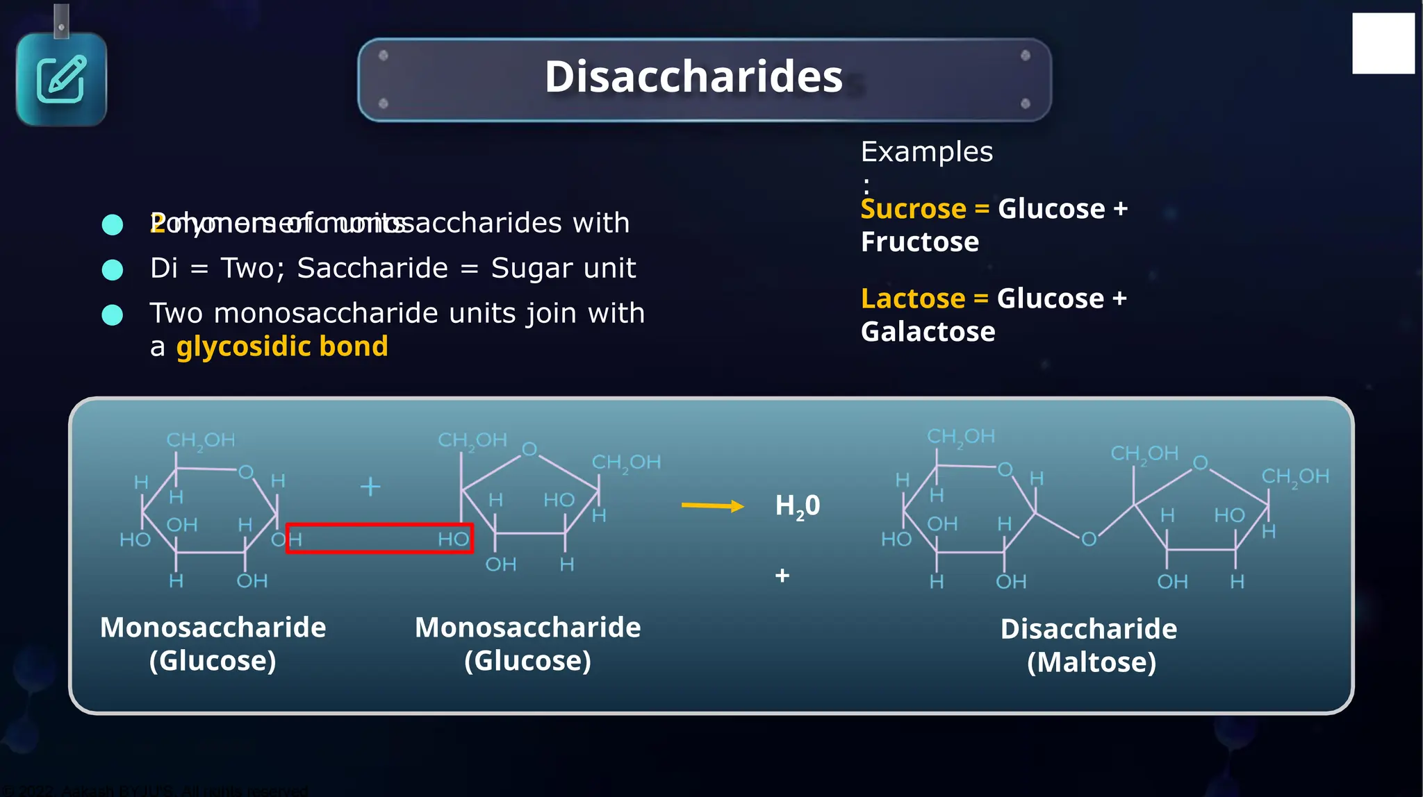 Biomolecules bology grade 11 oppr-1.pptx