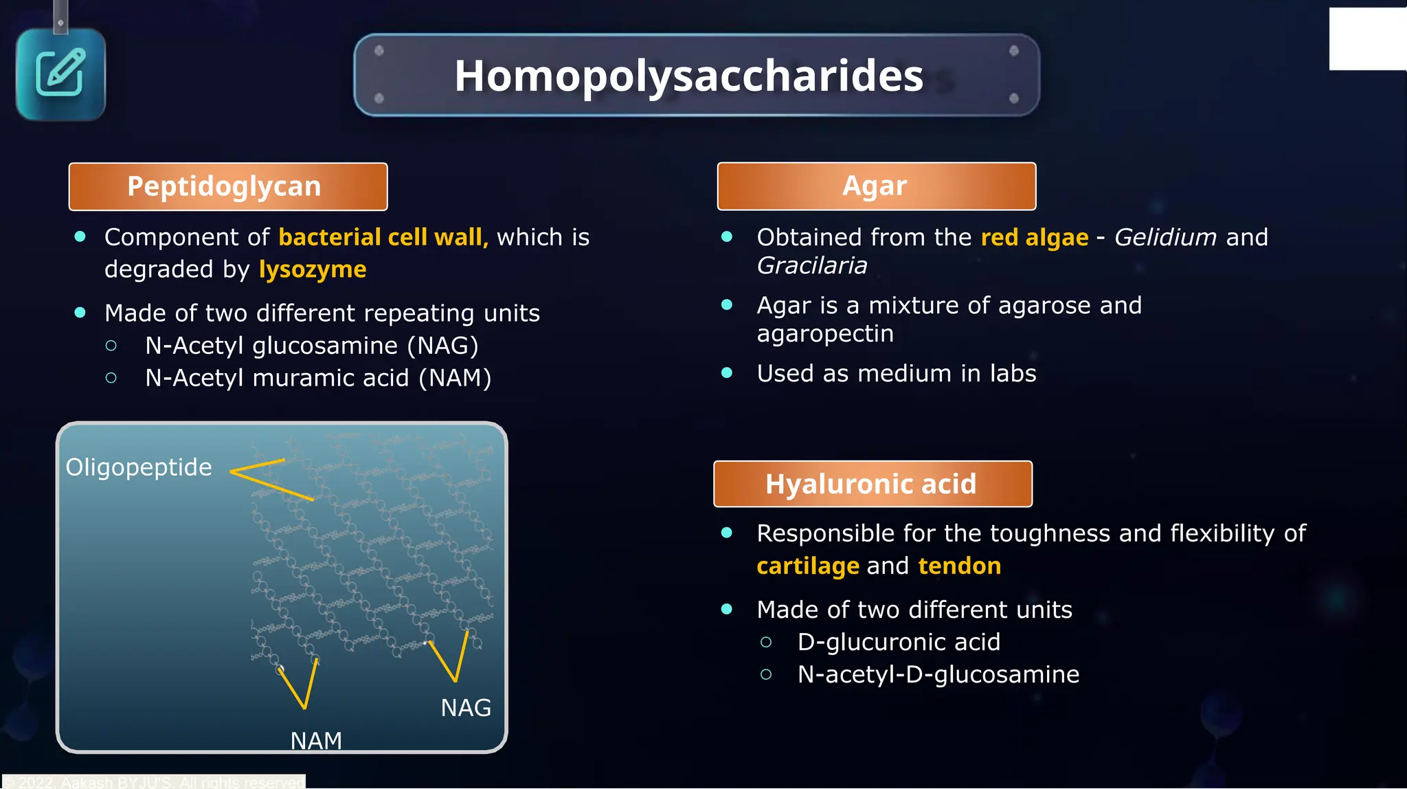 Biomolecules bology grade 11 oppr-1.pptx