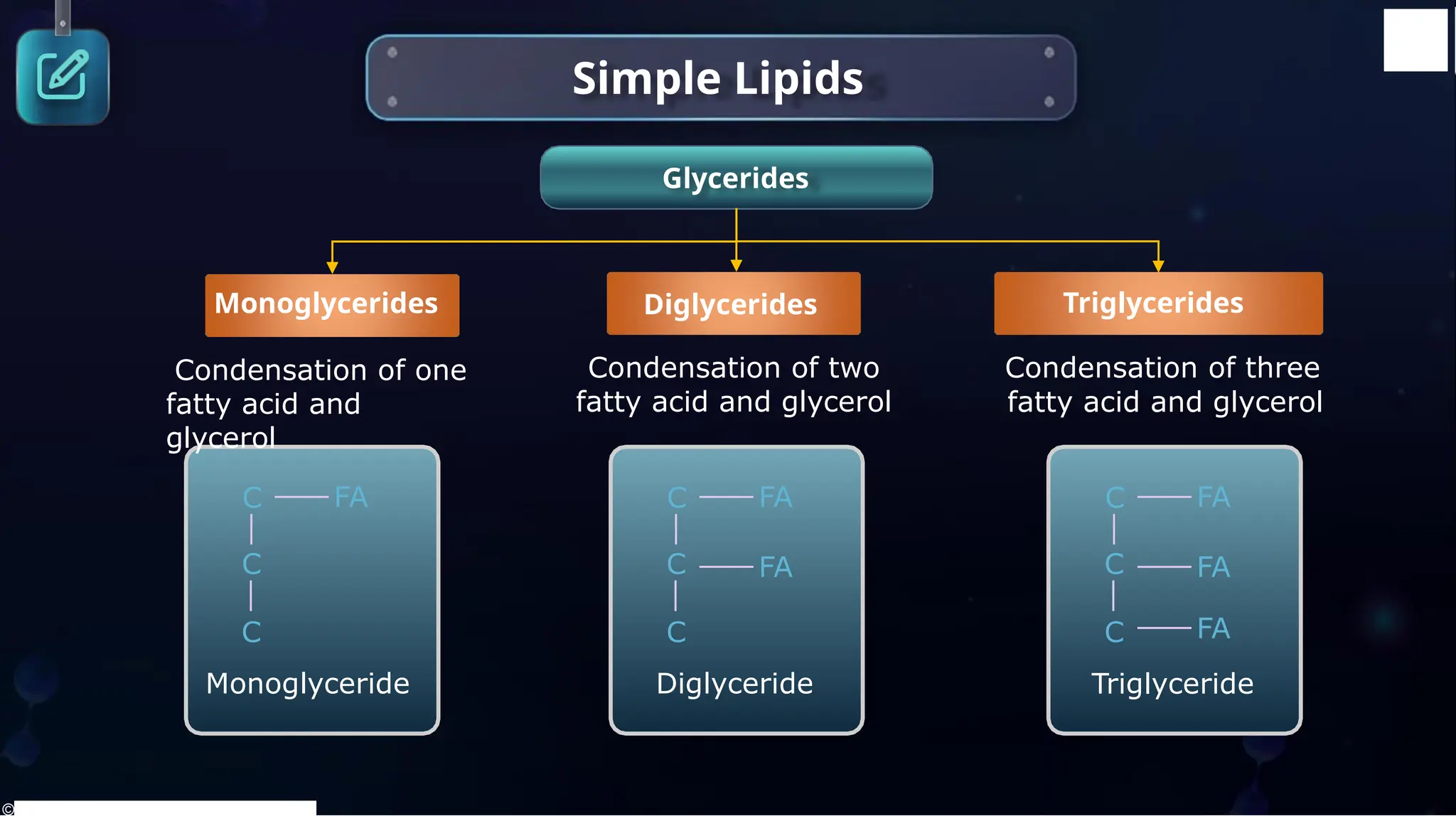 Biomolecules bology grade 11 oppr-1.pptx