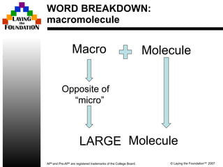 Biomolecules | PPT