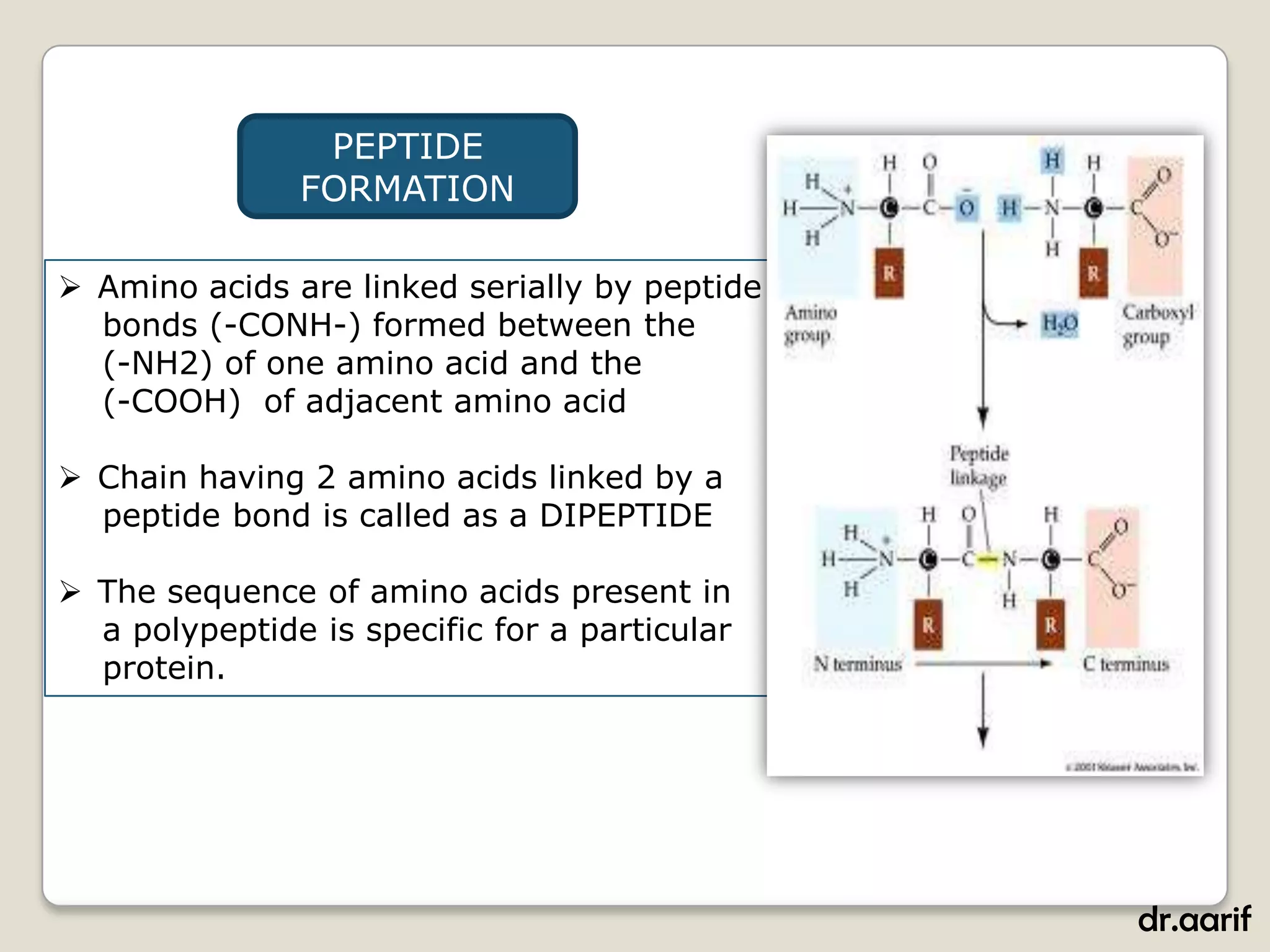 Biomolecules | PPSX