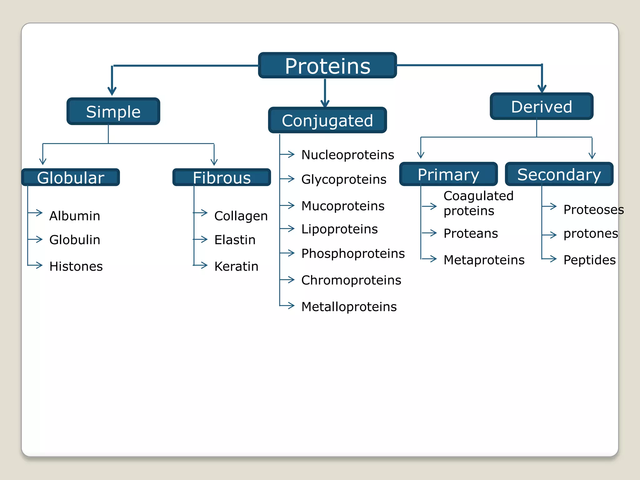 Biomolecules | PPSX