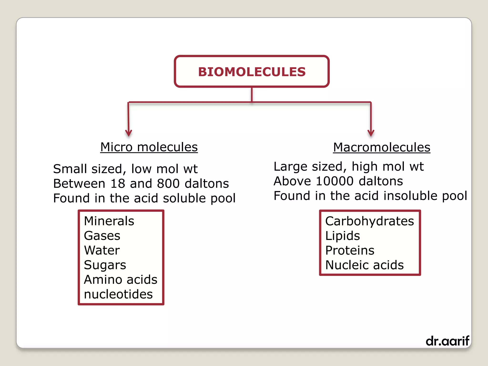 Biomolecules | PPSX