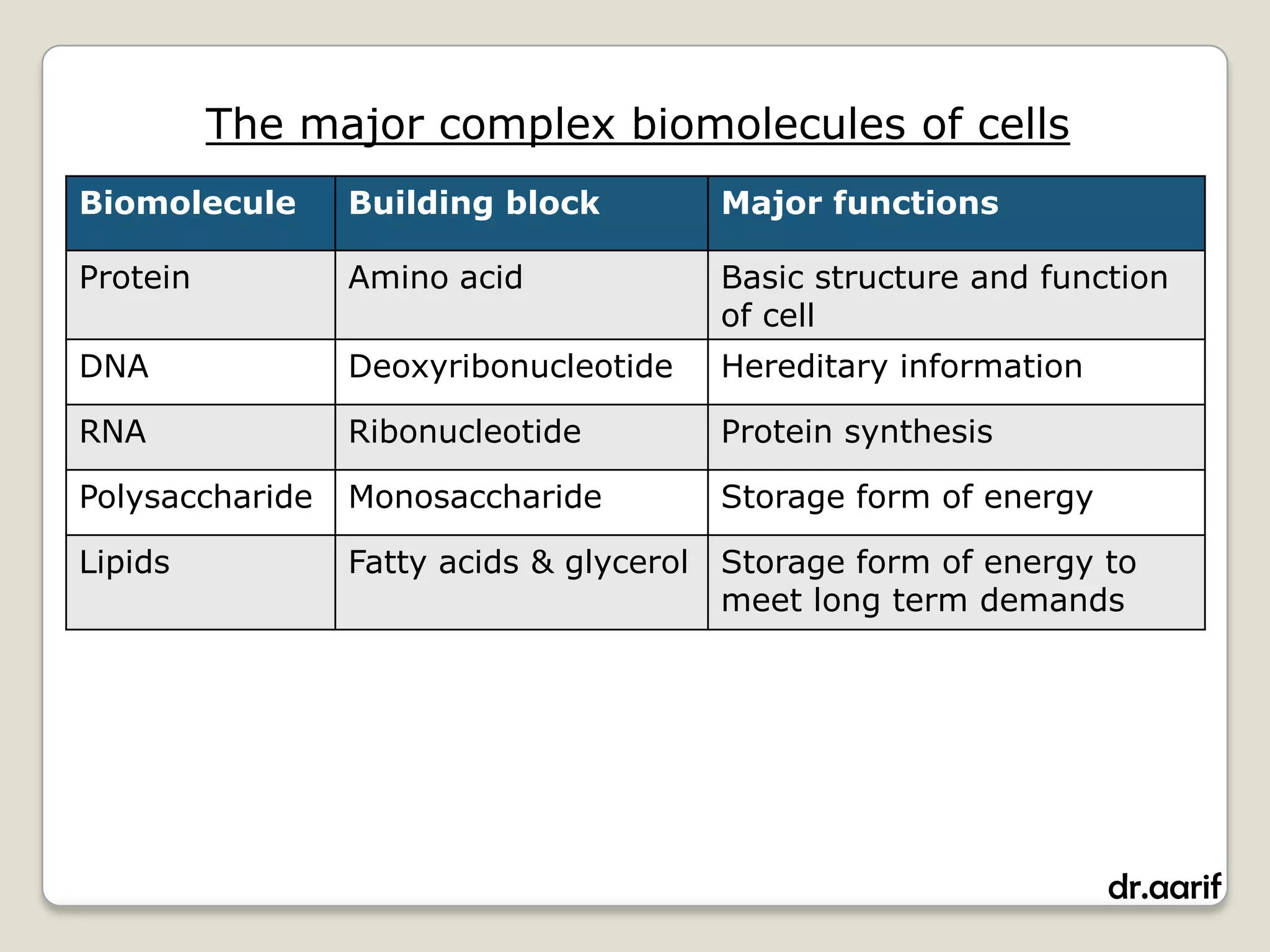 Biomolecules | PPSX