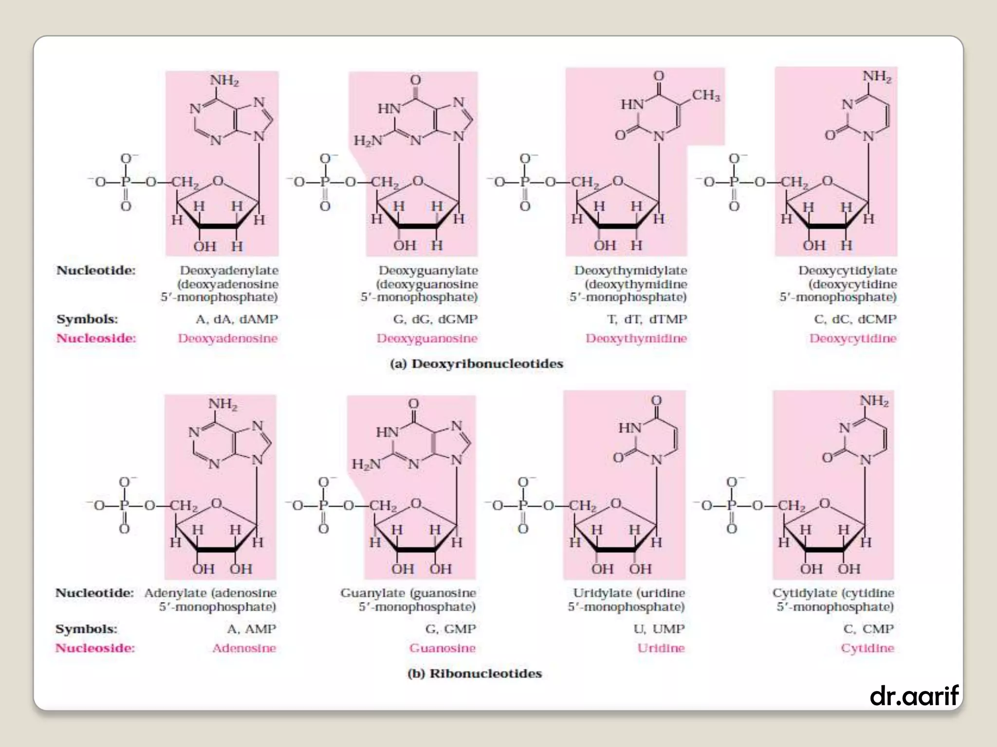Biomolecules | PPSX