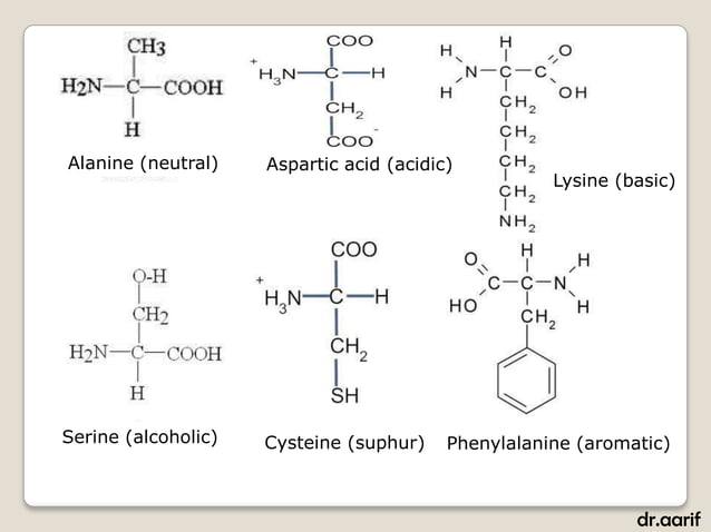 Biomolecules | PPSX | Chemistry | Science