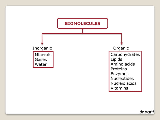 Biomolecules | PPSX | Chemistry | Science