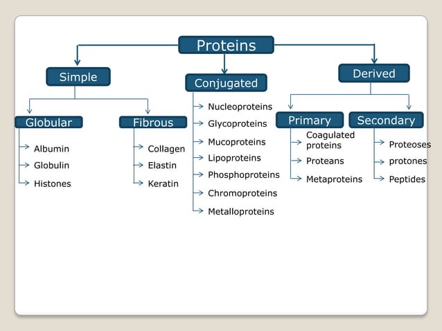 Biomolecules | PPT