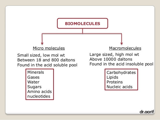Biomolecules