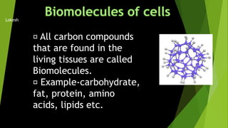 Biomolecules | PPTX