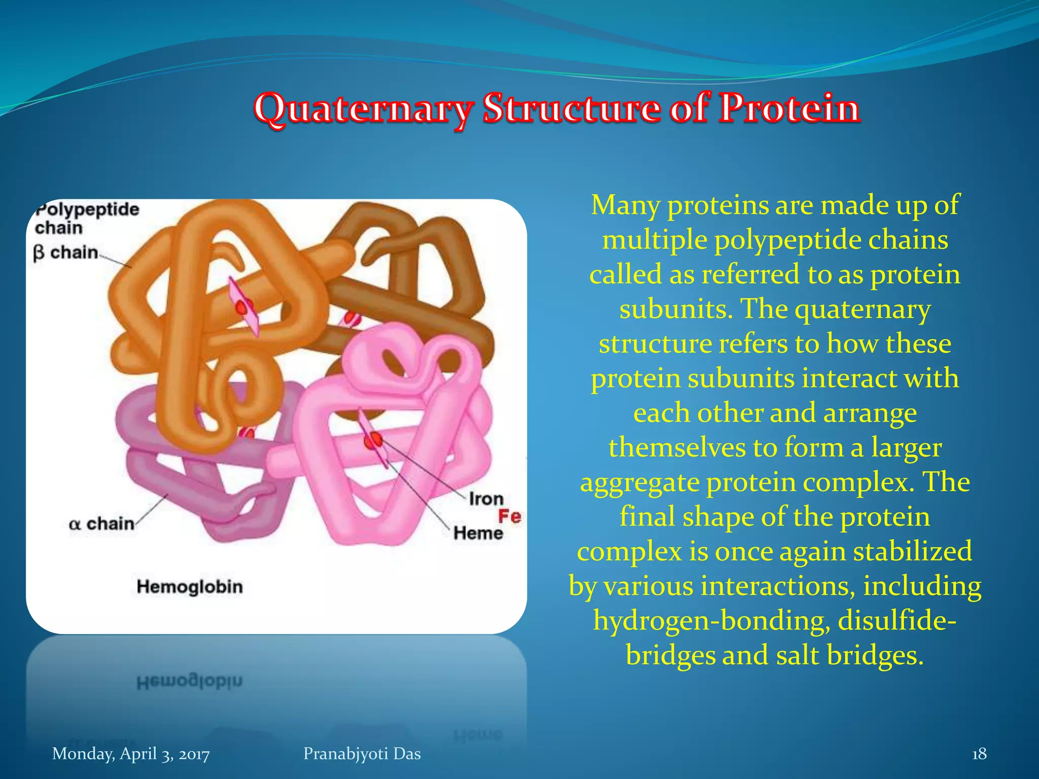 Protein as a Biomolecule | PPTX
