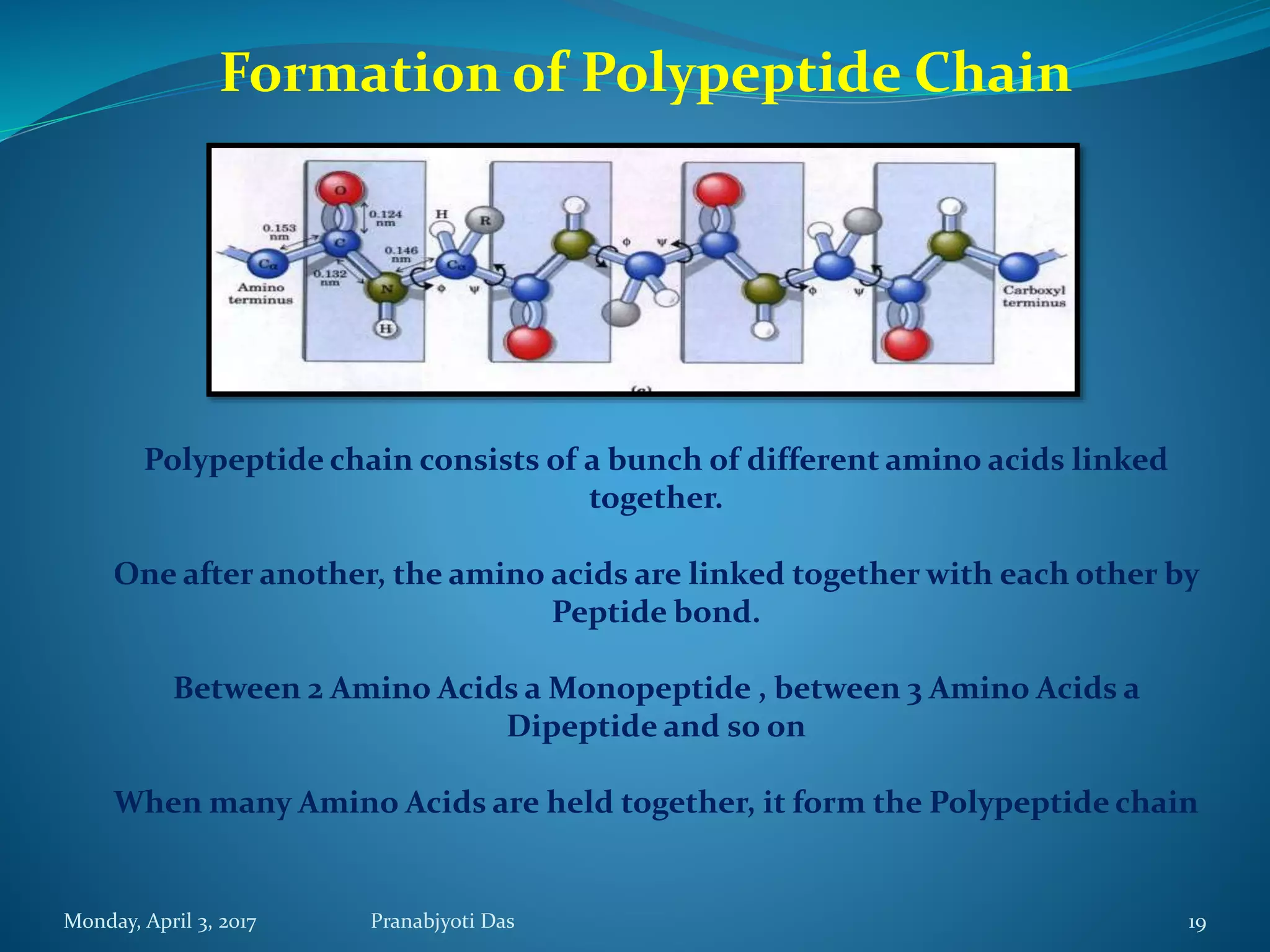 Protein as a Biomolecule | PPTX