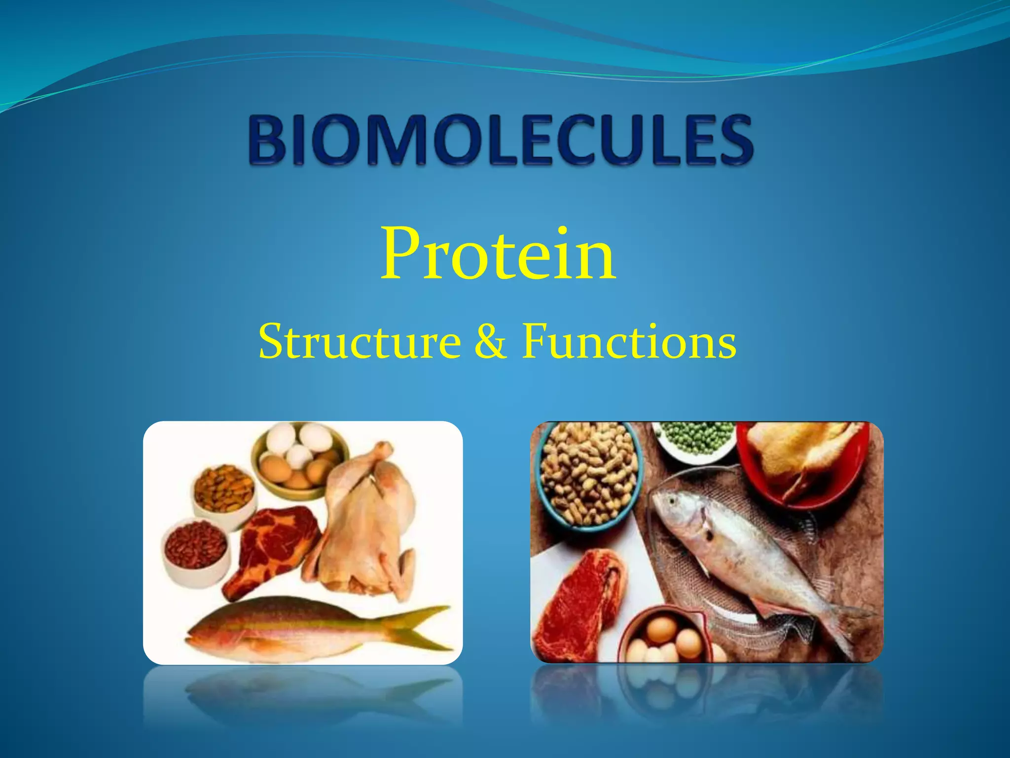 Protein as a Biomolecule | PPTX