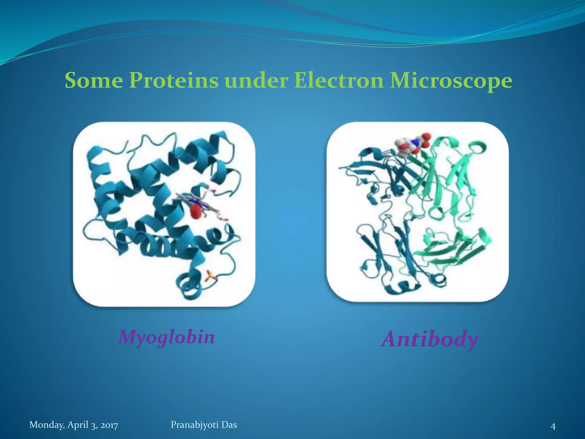 Protein as a Biomolecule | PPTX