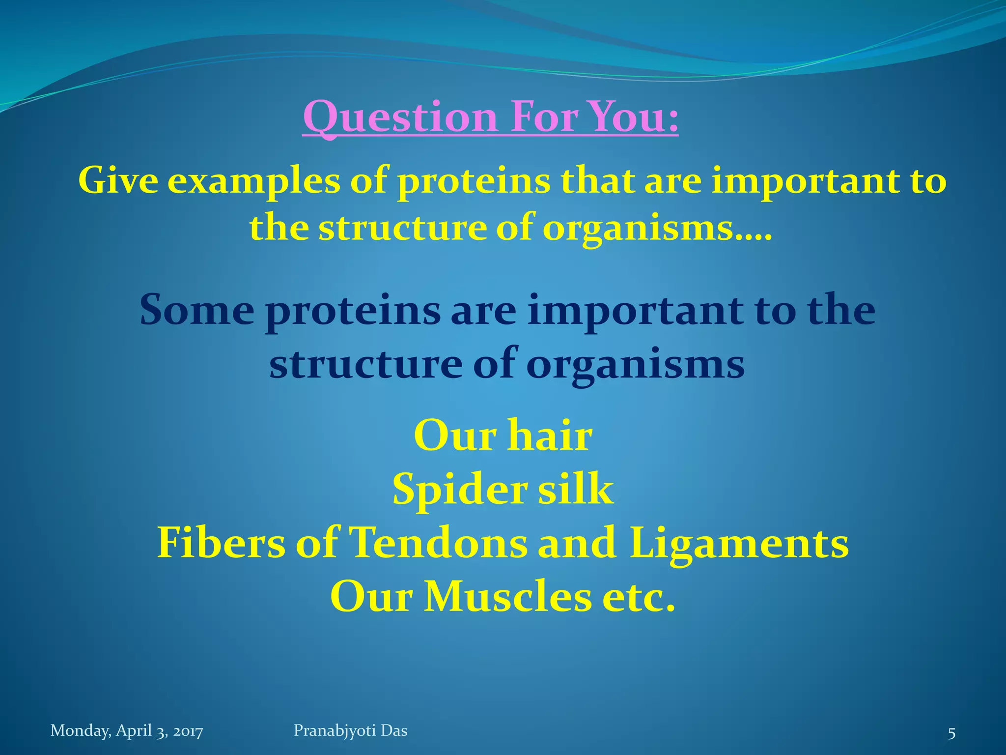 Protein as a Biomolecule | PPTX