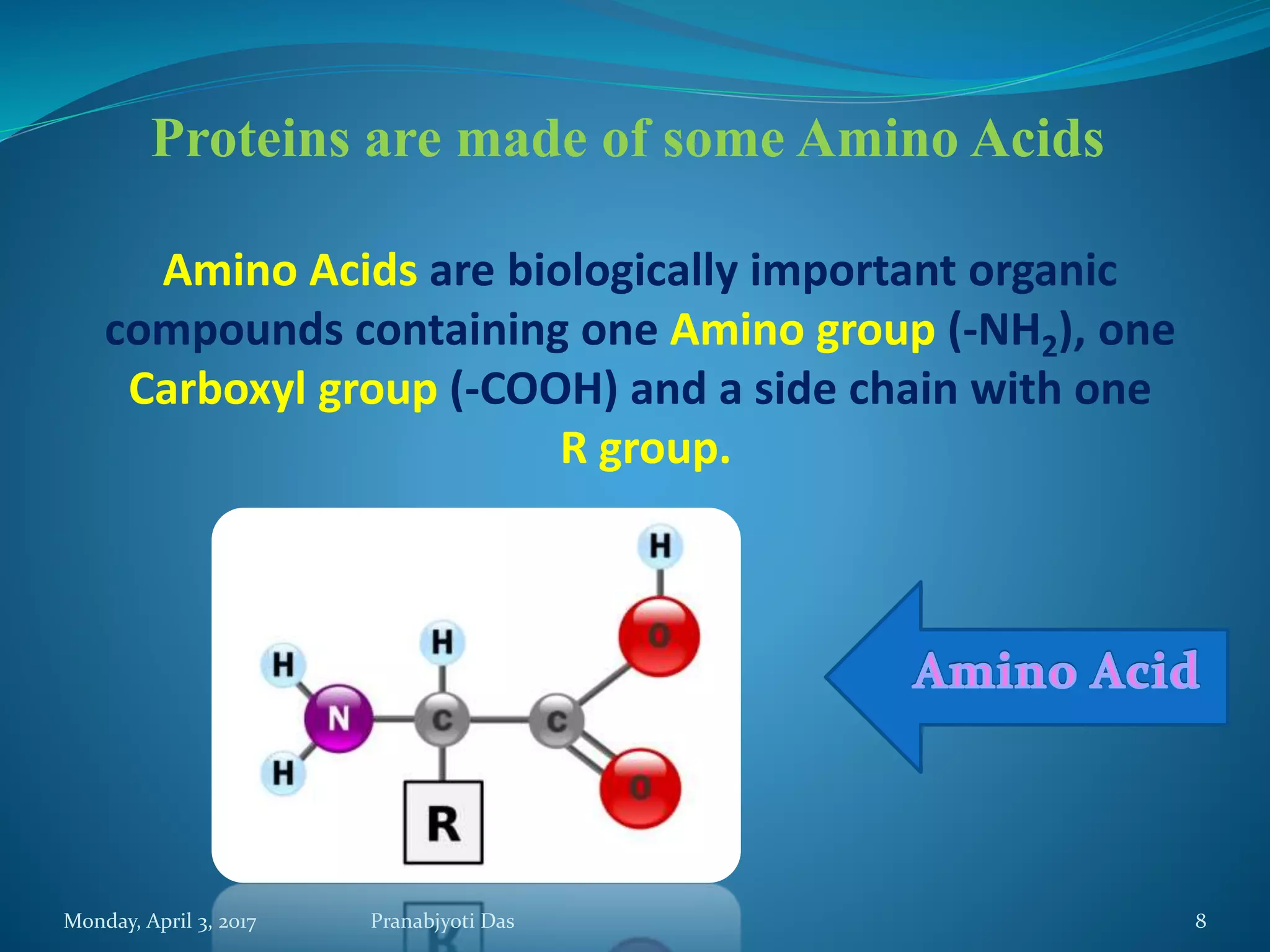 Protein as a Biomolecule | PPTX