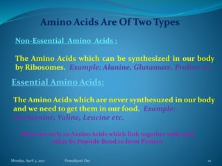 Protein as a Biomolecule | PPTX