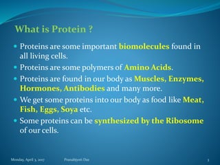 Protein as a Biomolecule | PPTX