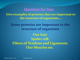 Protein as a Biomolecule | PPTX