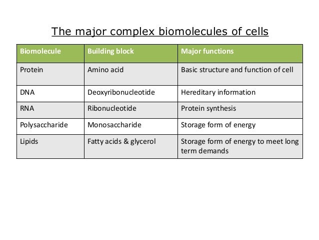 Biomolecules
