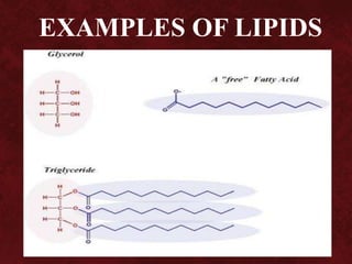 Austin Biomolecules: open access | PPT