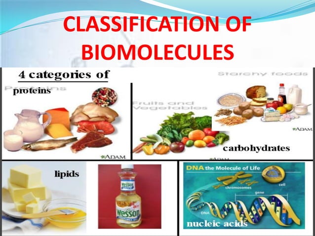 Biomolecules | PDF | Chemistry | Science