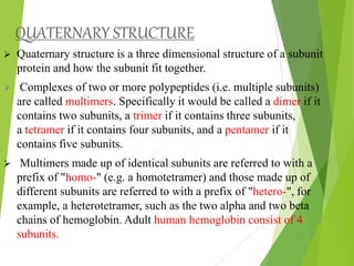 Biomolecules | PPSX