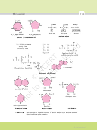 Biomolecules | PDF