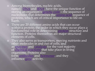 Biomolecules | PPTX