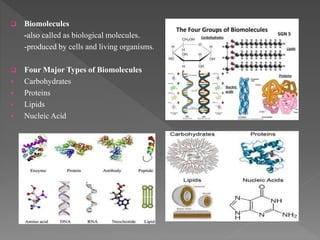 Biomolecules | PPT
