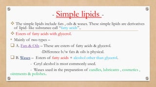 Biomolecules - Lipids & Classification - Biochemistry (203T) | PDF