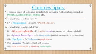 Biomolecules - Lipids & Classification - Biochemistry (203T) | PDF