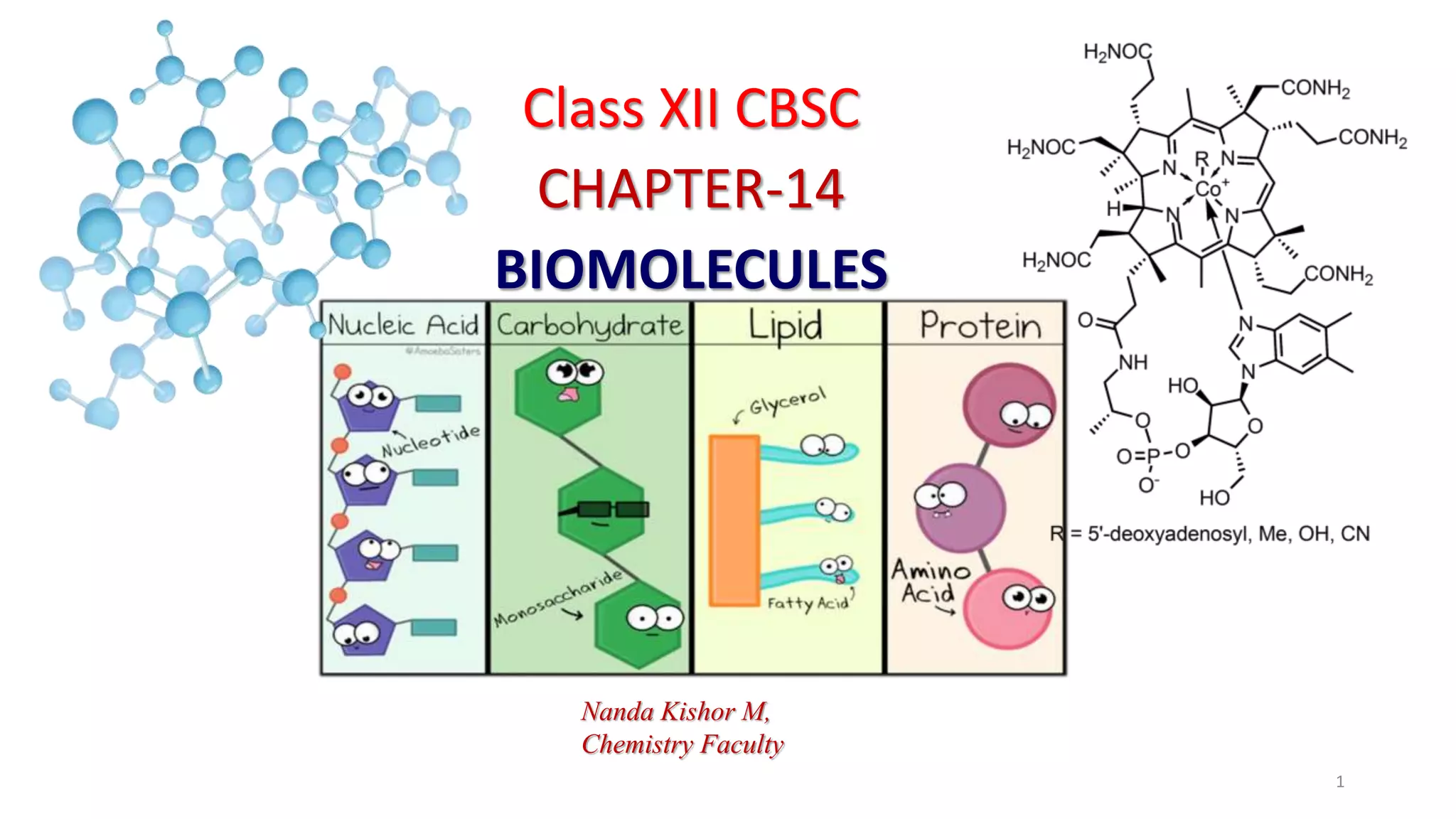 Biomolecules | PPTX