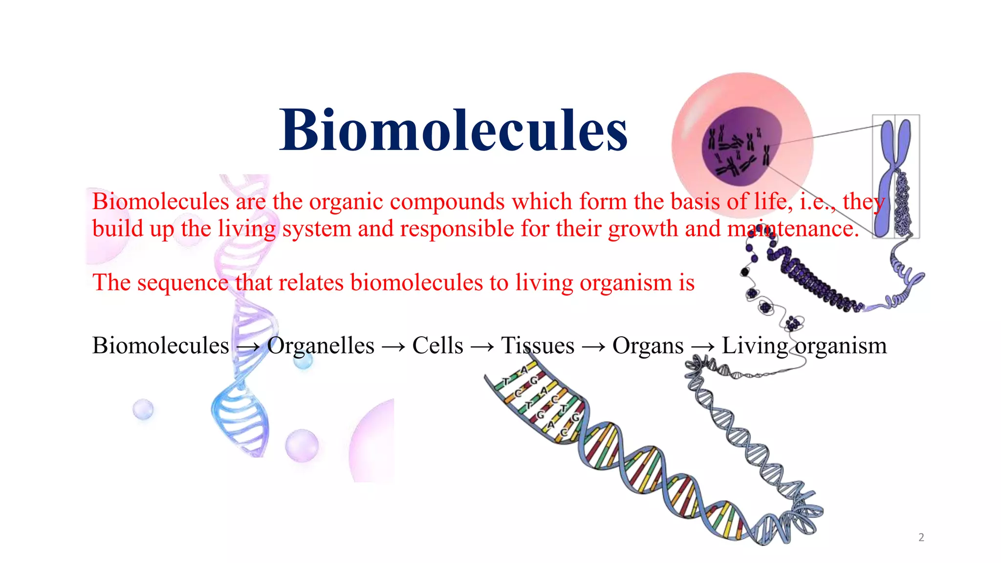 Biomolecules | PPTX