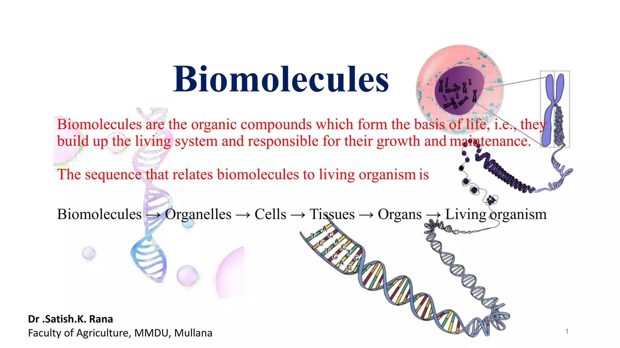biomolecule.pptx