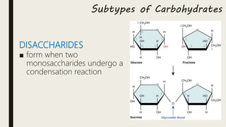 Biomolecules | PPTX
