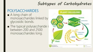 Biomolecules | PPTX
