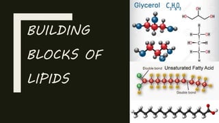 Biomolecules | PPTX