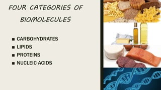Biomolecules | PPTX