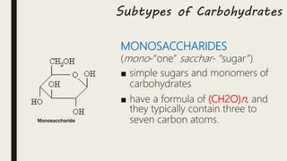 Biomolecules | PPTX