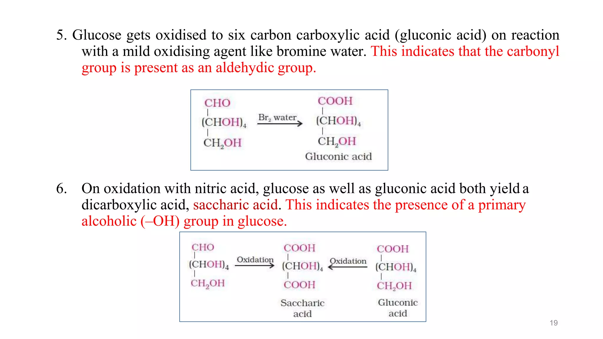 Class XII-Biomolecules | PPTX