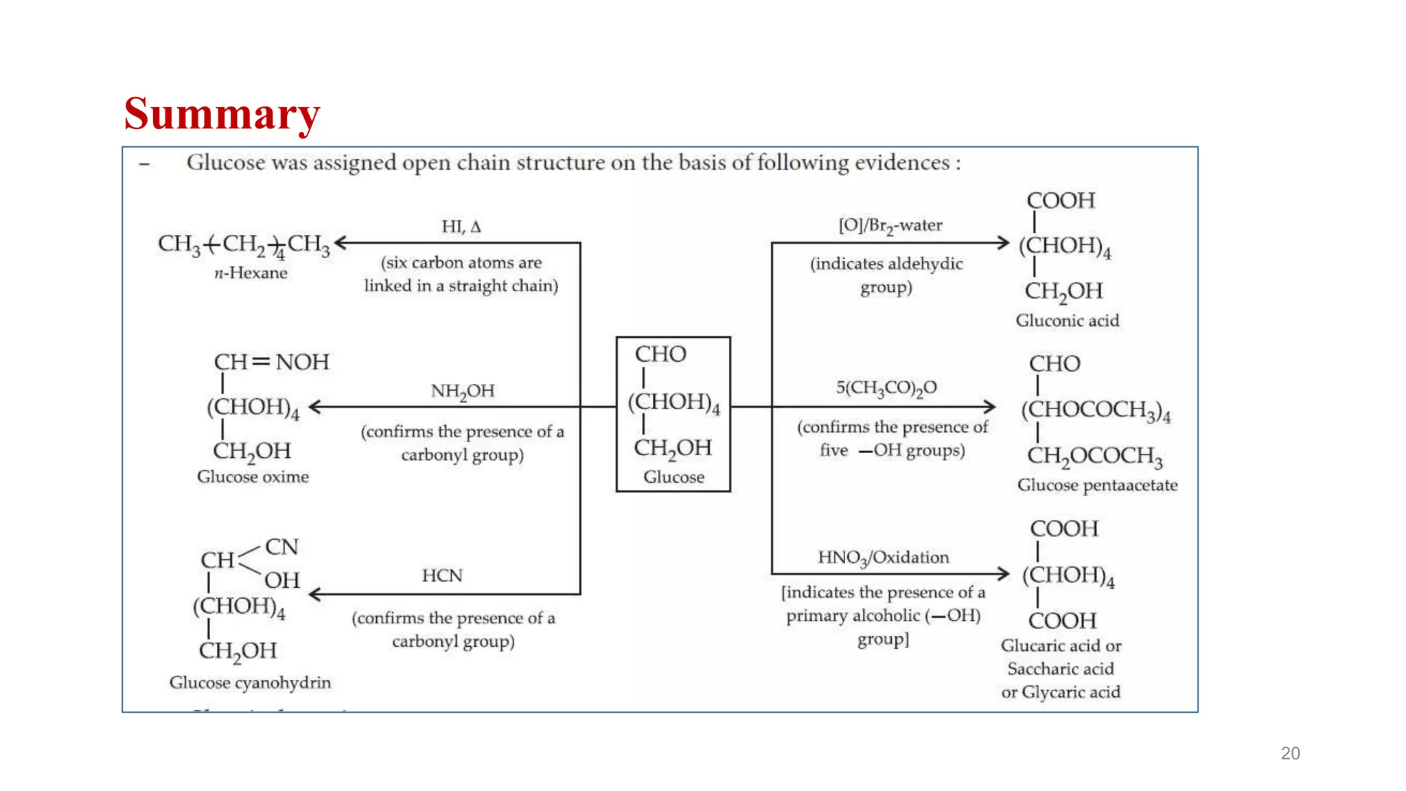 Class XII-Biomolecules | PPTX