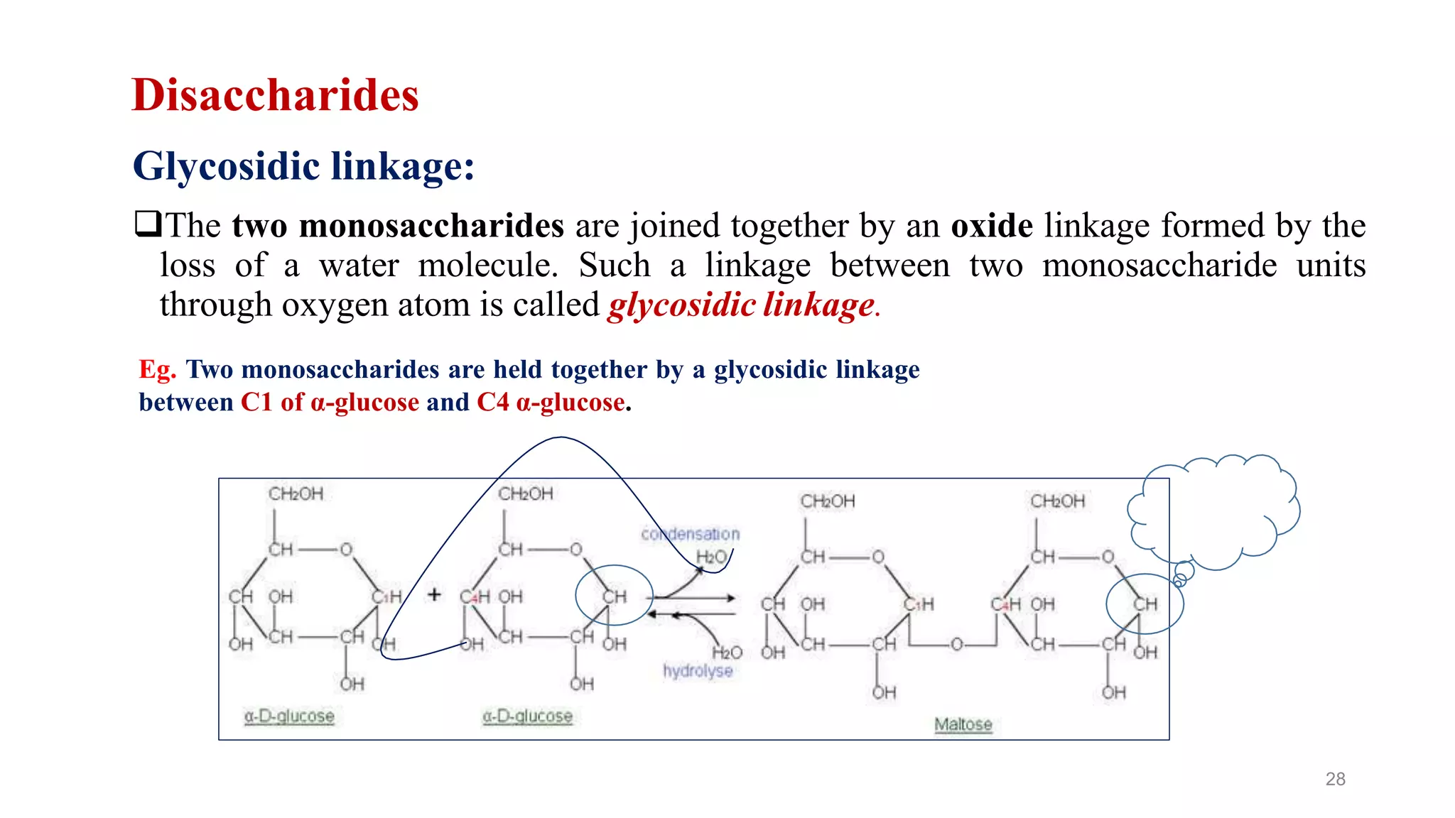 Class XII-Biomolecules | PPTX