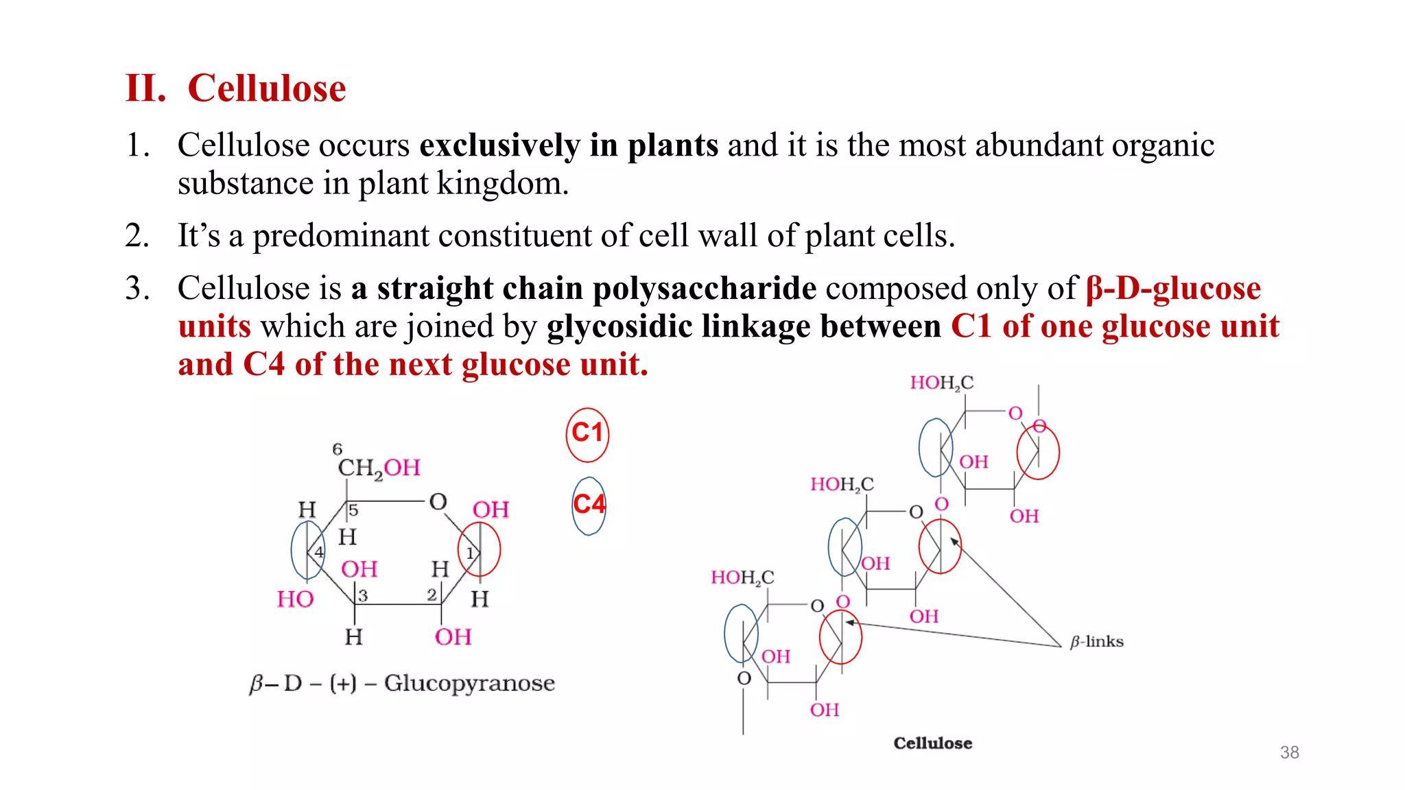 Class XII-Biomolecules | PPTX